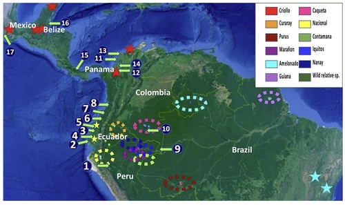 The History of Chocolate: How Amazonian Cacao Spread to Central and ...